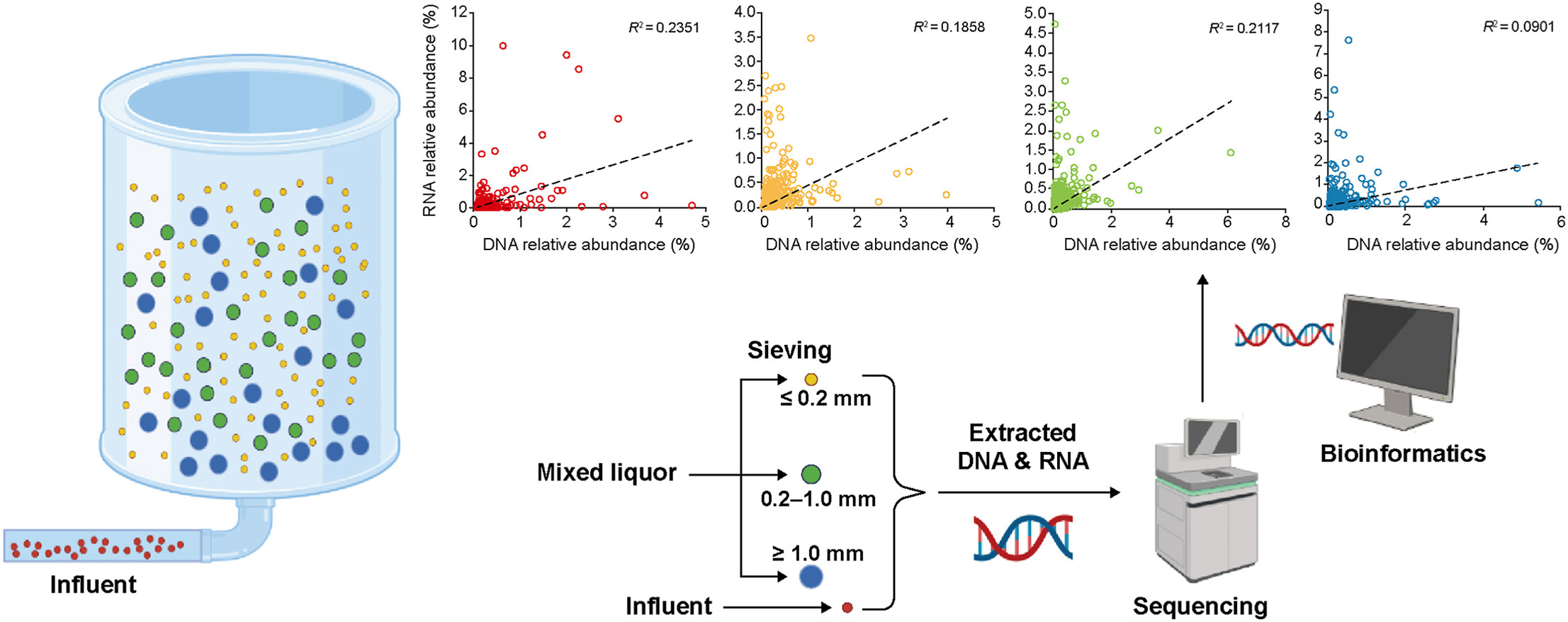 Genome-resolved metatranscriptomics unveils distinct microbial ...