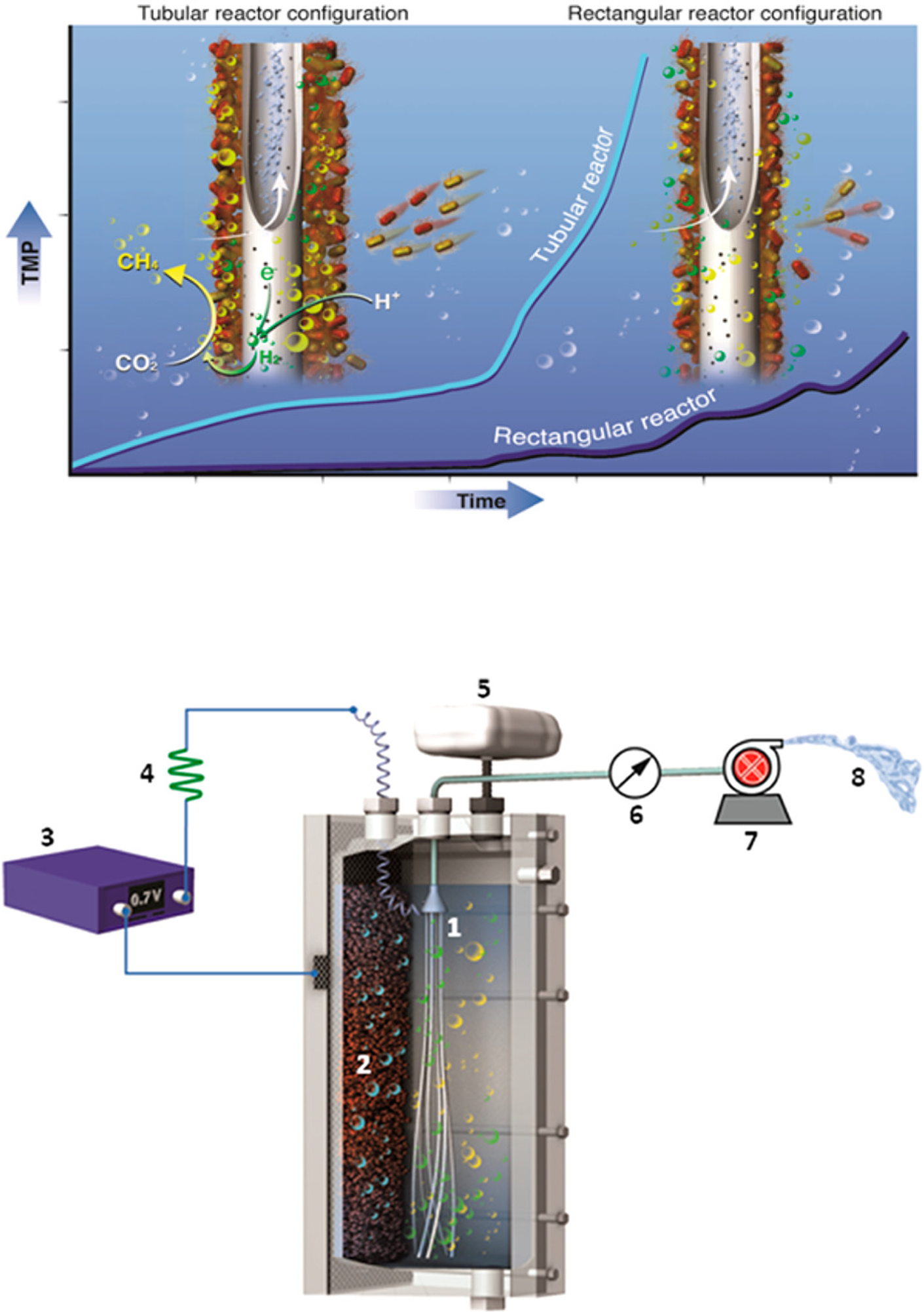 Graphene-Coated Hollow Fiber Membrane as the Cathode in Anaerobic ...