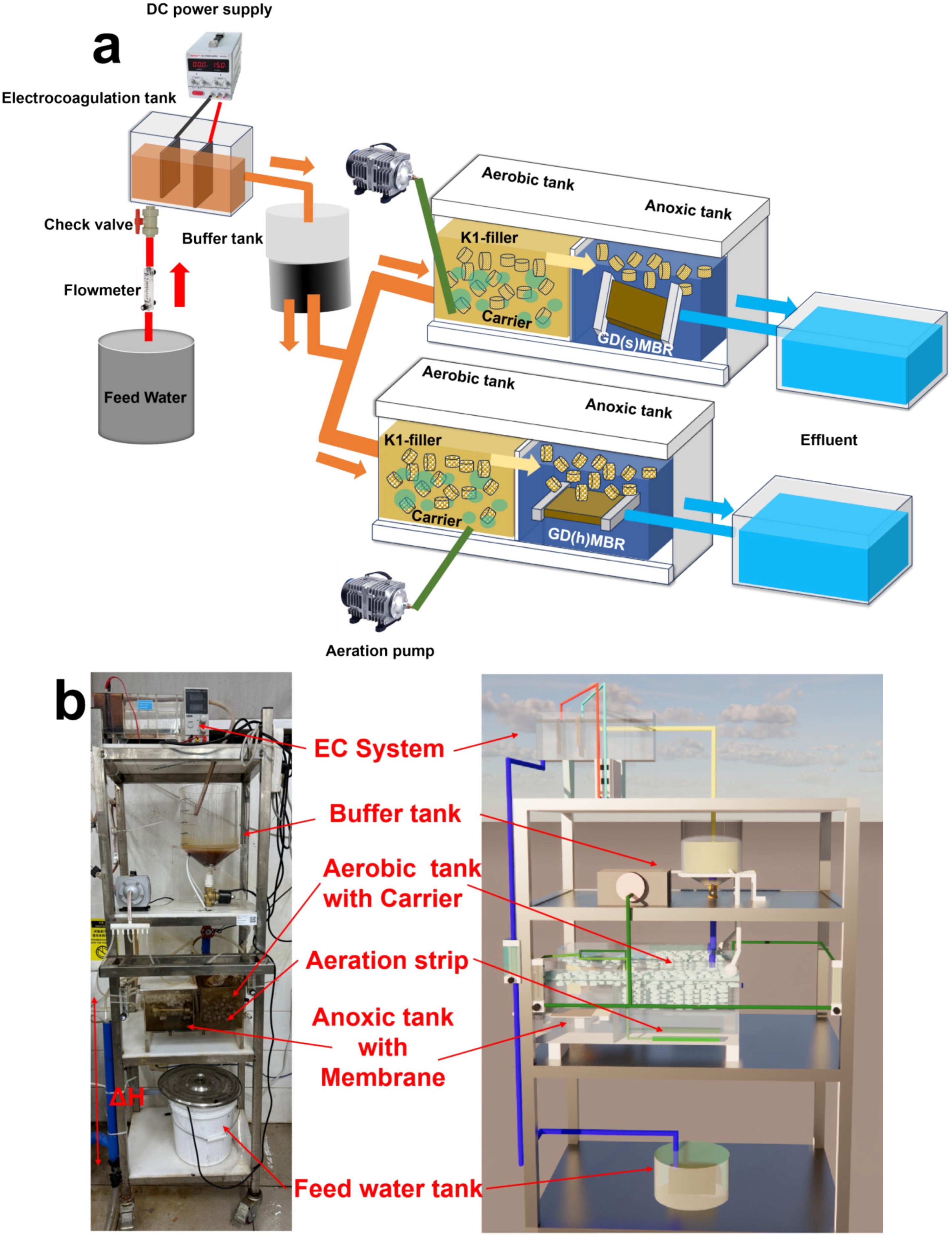 Enhanced nitrogen and phosphorus removal in gravity driven membrane ...